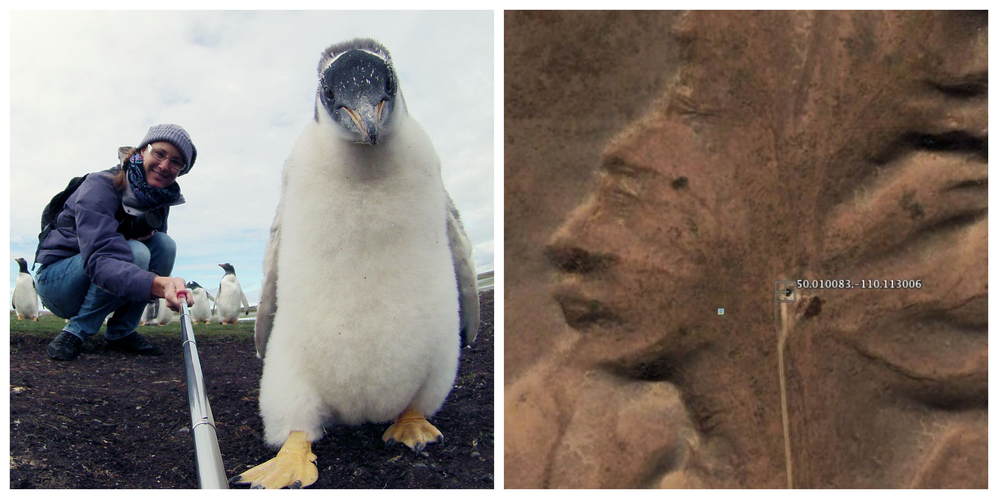 9 Of The Most Bizarre Pics Caught By Google Maps (And 10 By Go-Pros)