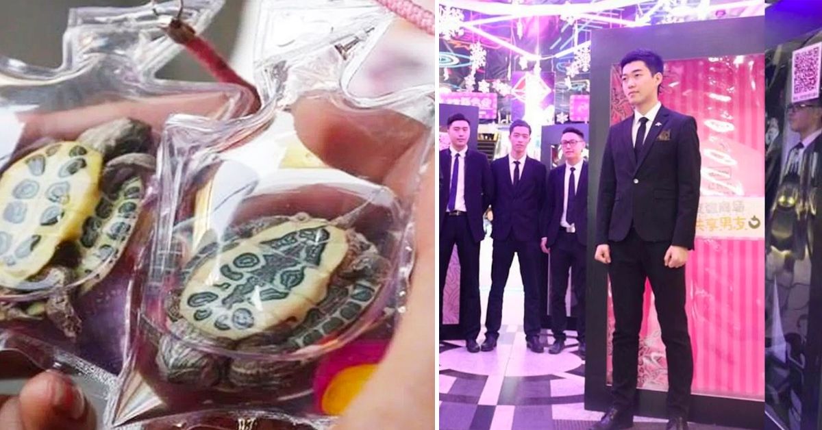 23 Seriously Weird Things We Can Only Buy In China | TheTravel 23 Seriously Weird Things We Can Only Buy In China | TheTravel